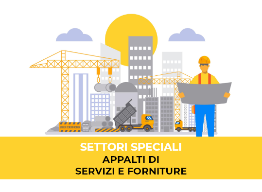 “MASTER APPALTI ANIE“ Settori speciali – Appalti di servizi e forniture